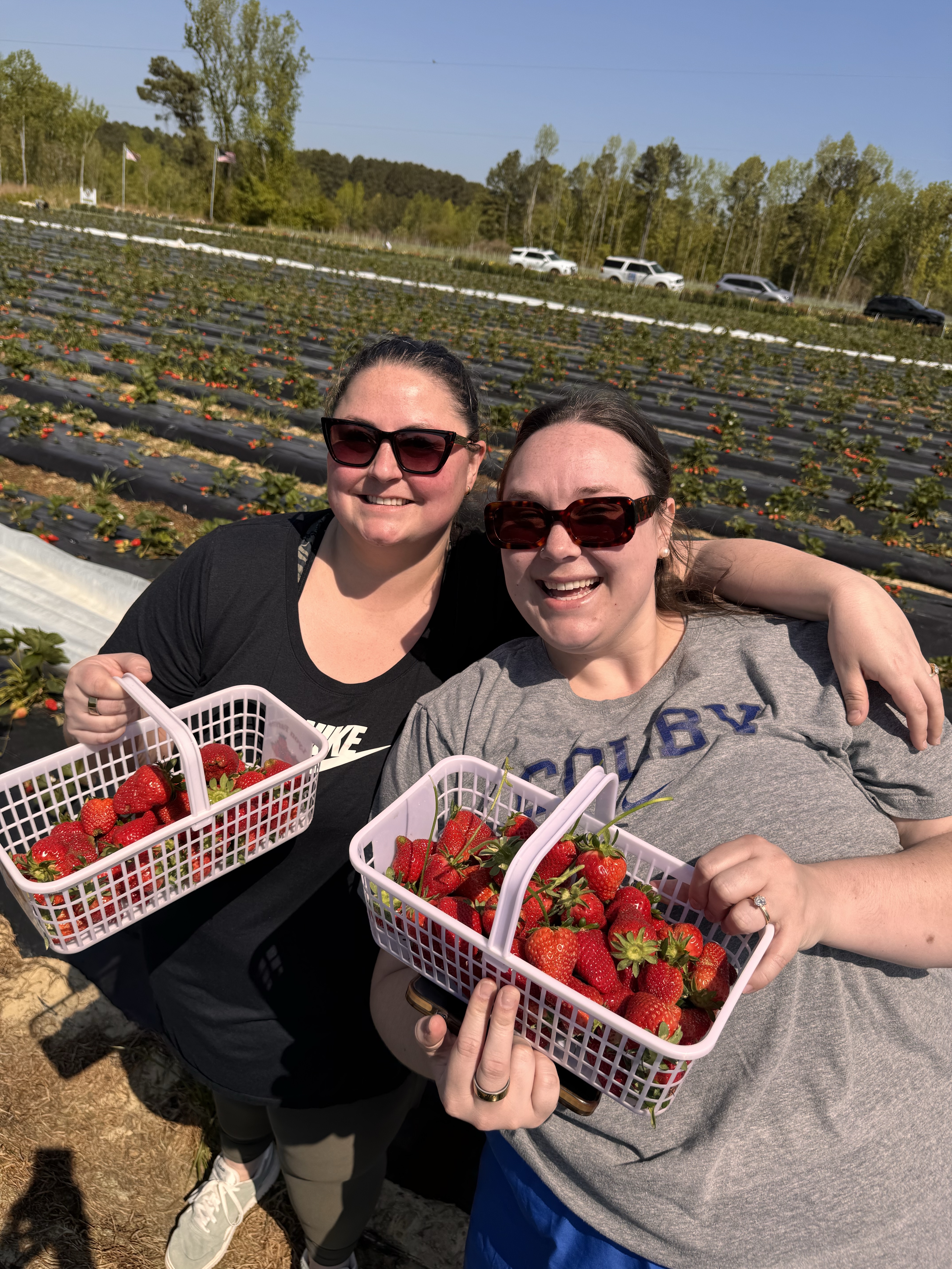 The Perfect Spring Day | Less Dana, More Good