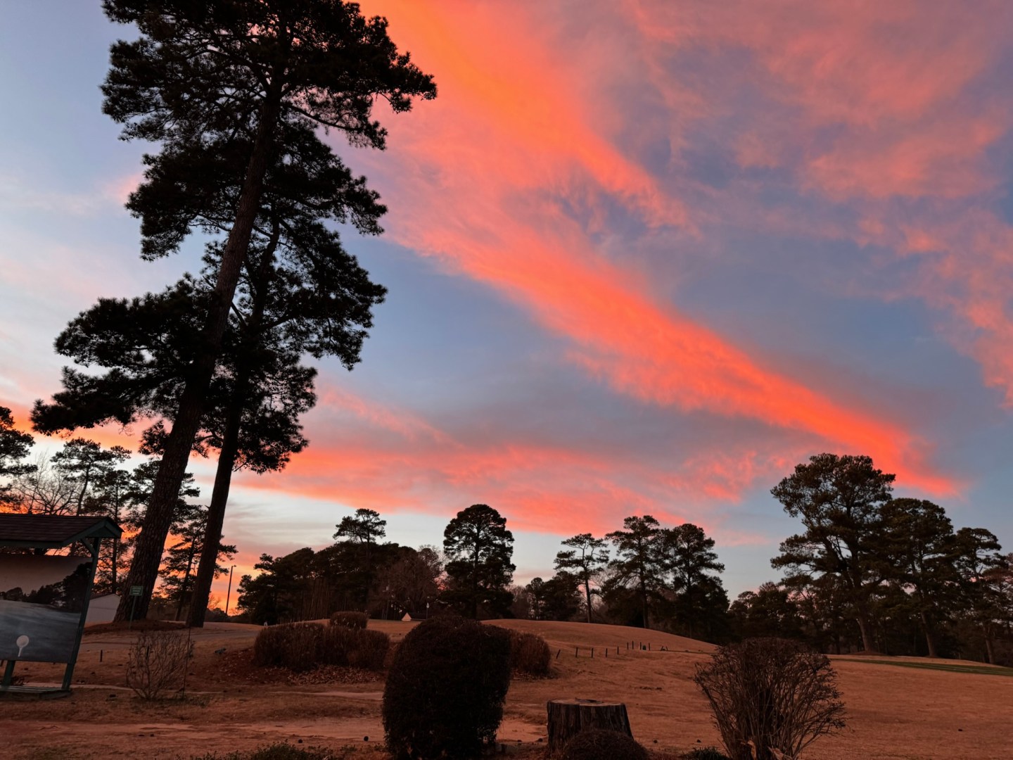 Please Sleep | Less Dana, More Good